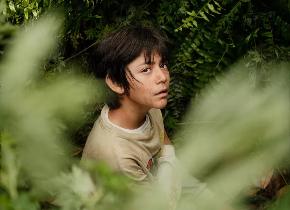 Moon The Panda - en | Gaumont, born with cinema