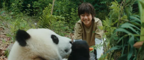 Moon The Panda - en | Gaumont, born with cinema