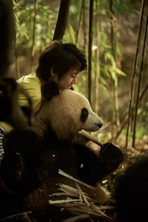 Moon The Panda - en | Gaumont, born with cinema